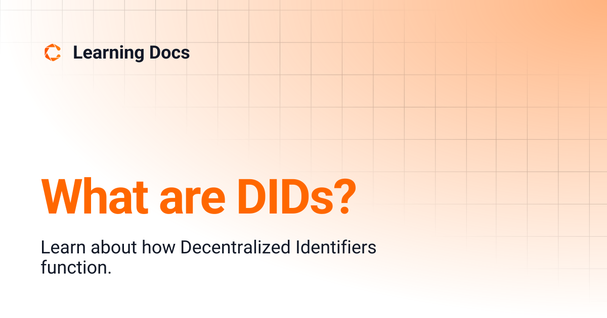 What are DIDs? | Learning Docs